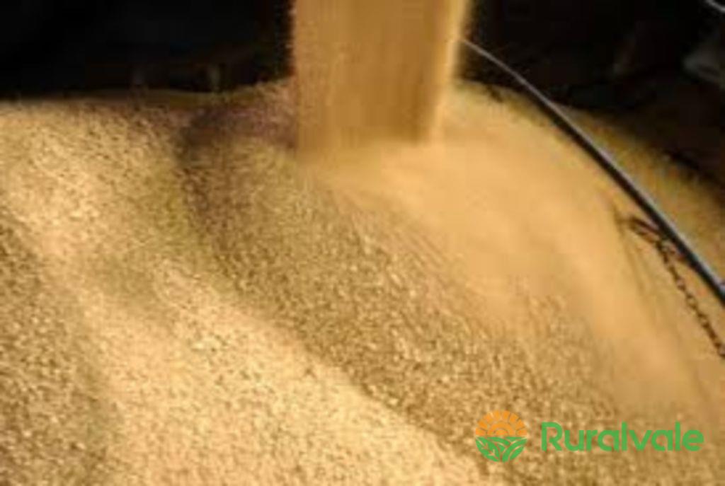 Farelo de soja 46% granel Estrela - RS - Rural Vale